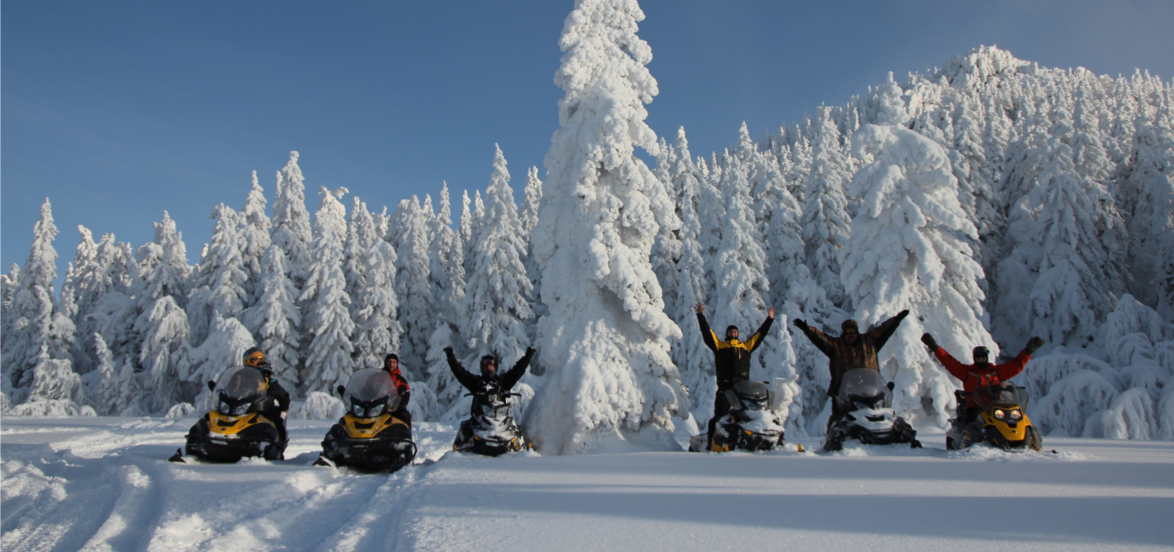 Snowmobile Tours in Colorado | Grand County Snowmobile ToursOn The ...